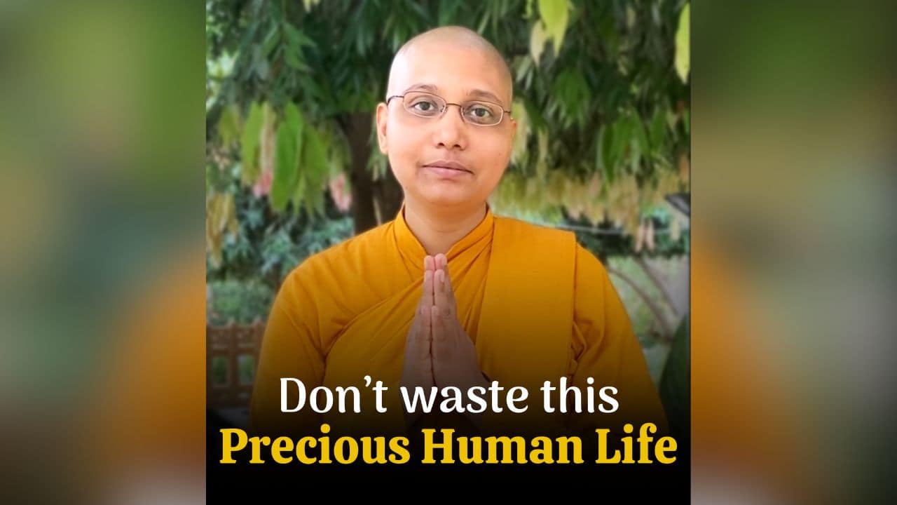 Don’t Waste This Precious Human Life - Buddhist Nuns of Mahamevnawa